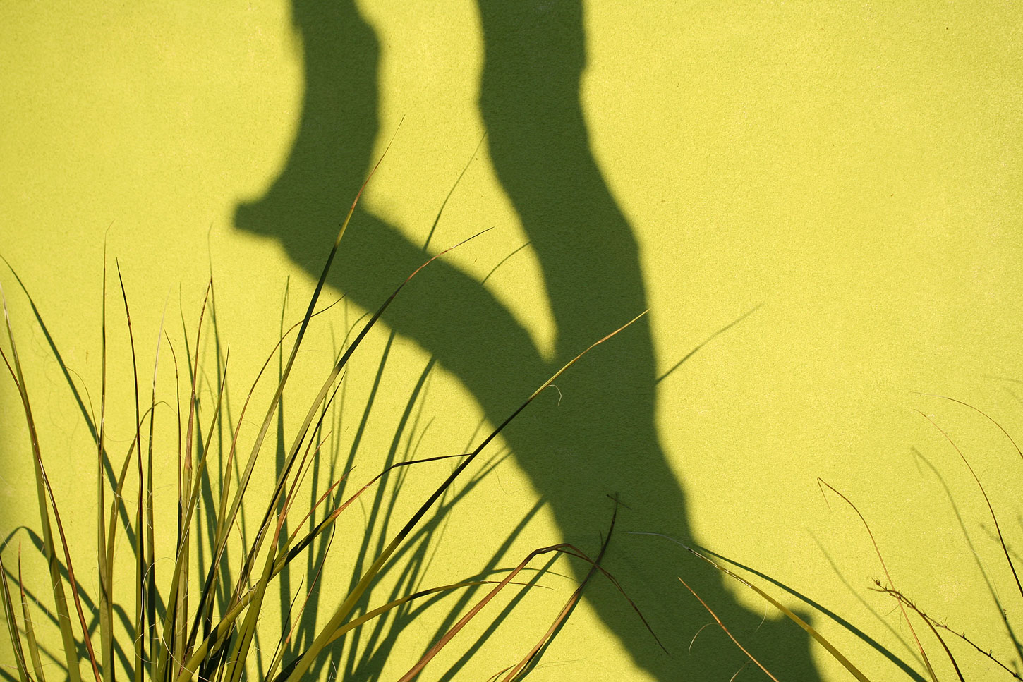 Recalibrating the Compass: A Conversation on Art + Environment with ...