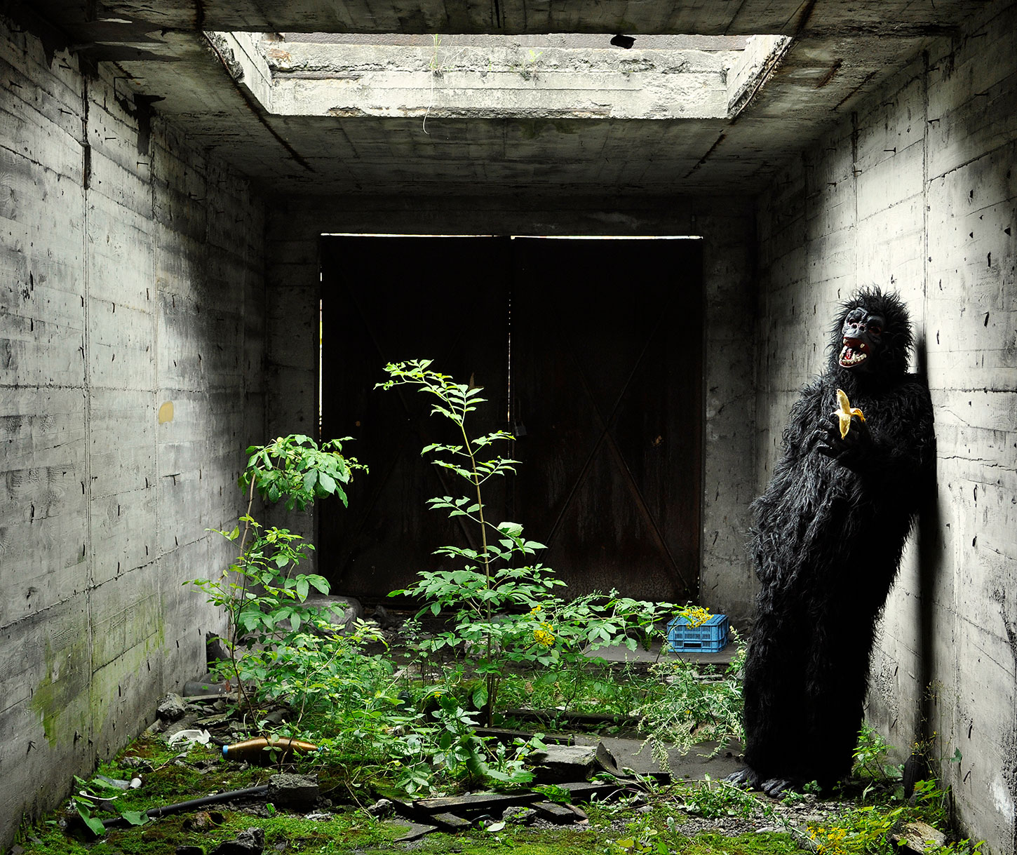 How to Become a Regional Cryptid - Terrain.org