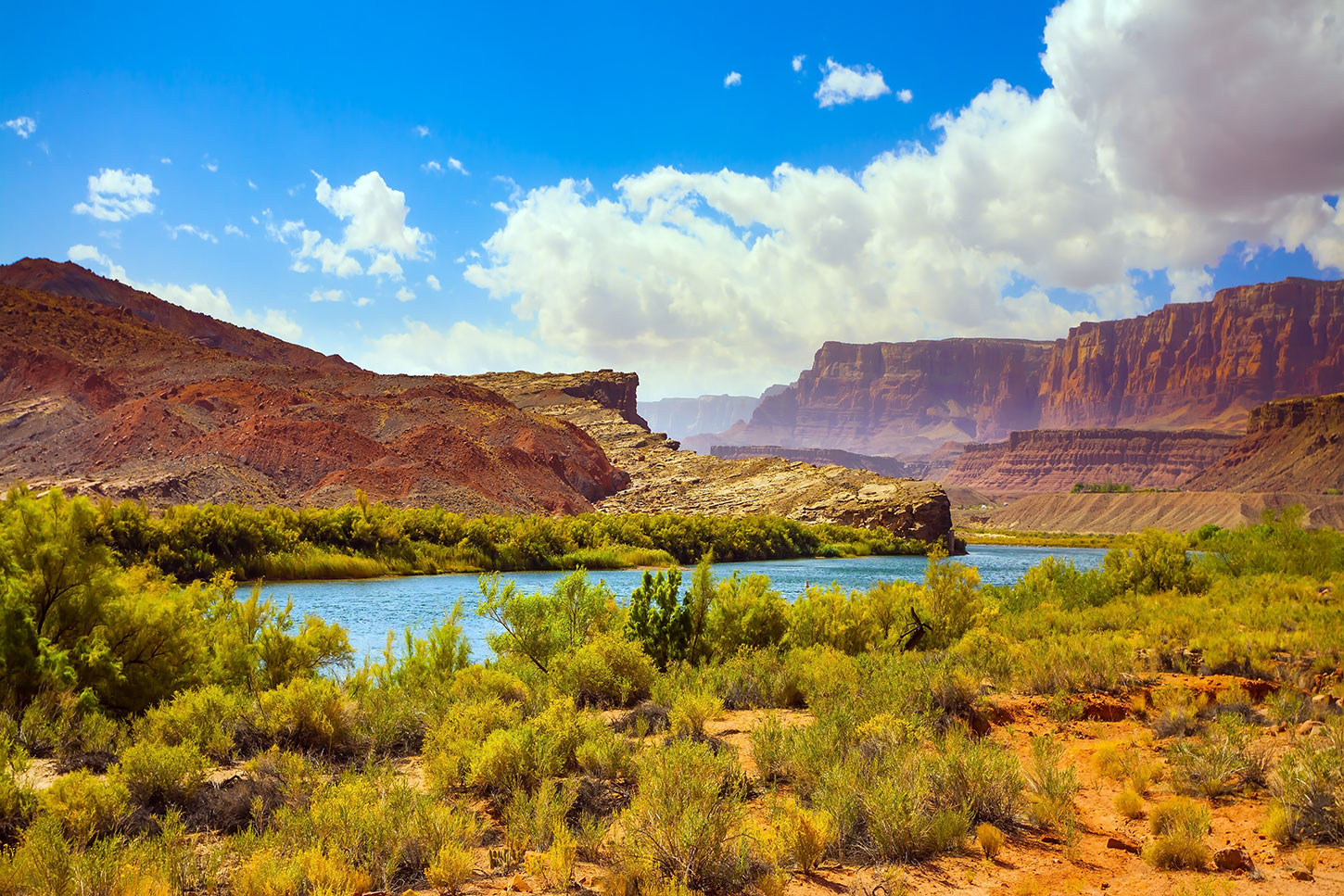 The Wilding of Elzada Clover and Lois Jotter: Melissa L. Sevigny's ...