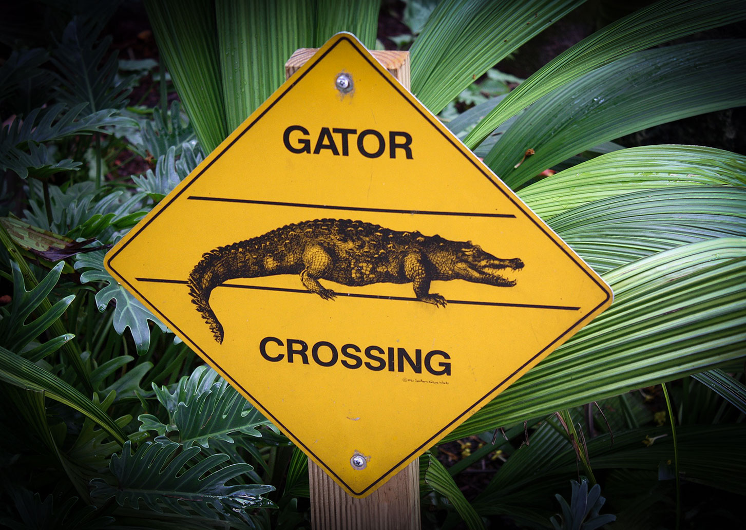 I Haven't Even Finished This Yet, and Already It's Illegal in Florida ...