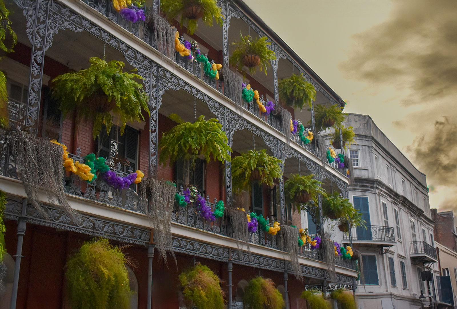 Four Poems by Julie Kane - Terrain.org